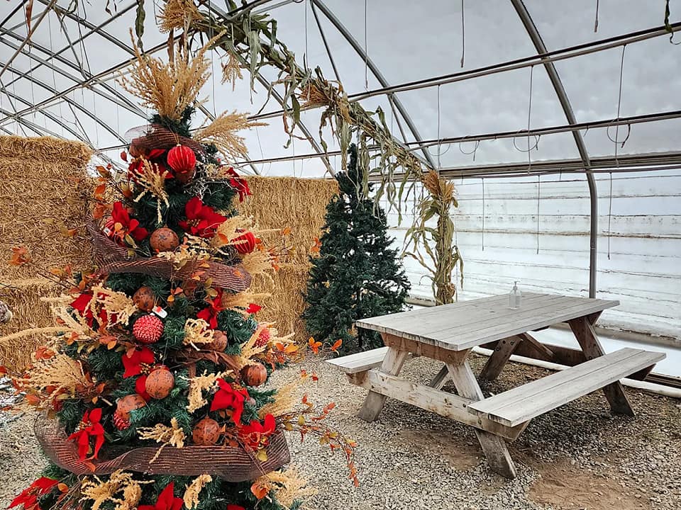 Things to Do - Horsting's Farm Market